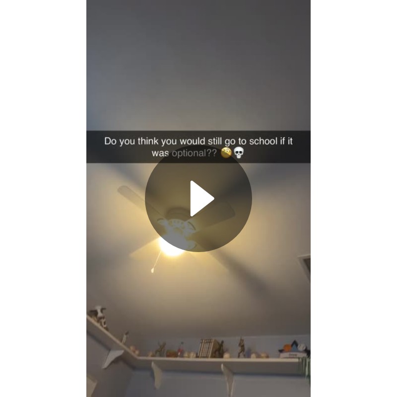 Do you think you would still go to school if it was optional?? 🧐💀 ...