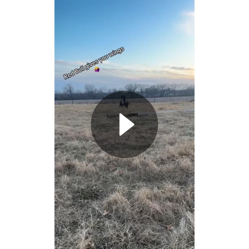 ellee_wheeldon | Spotlight on Snapchat