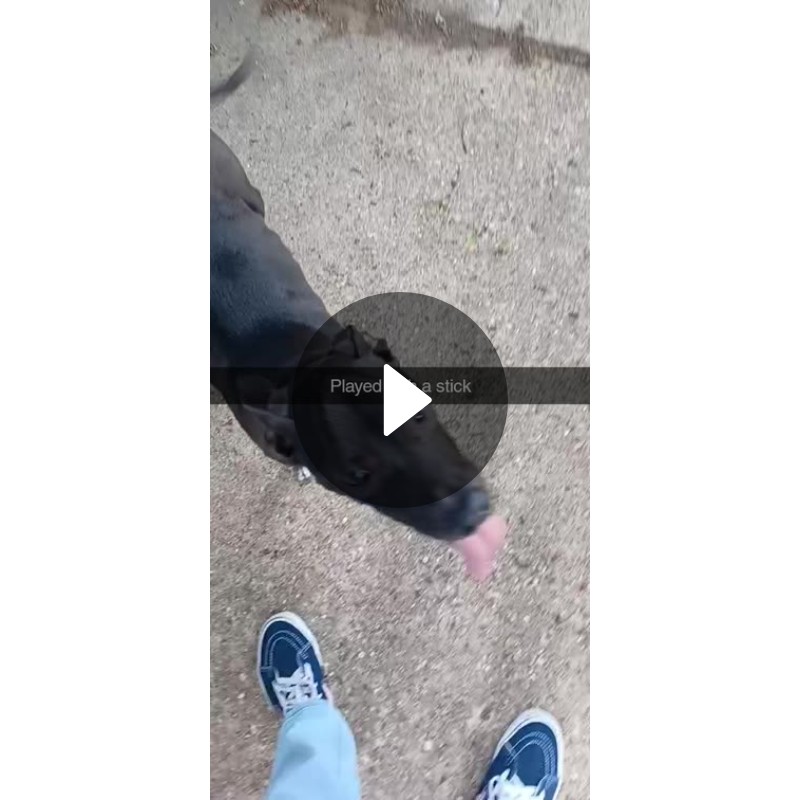 Played with a stick | Spotlight on Snapchat