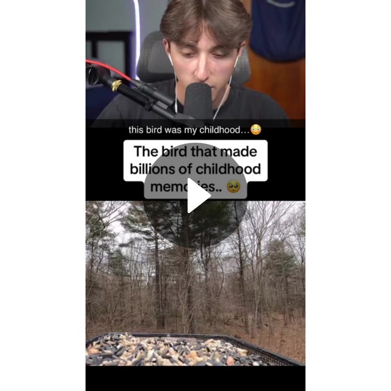 this bird was my childhood…😳 | Spotlight on Snapchat