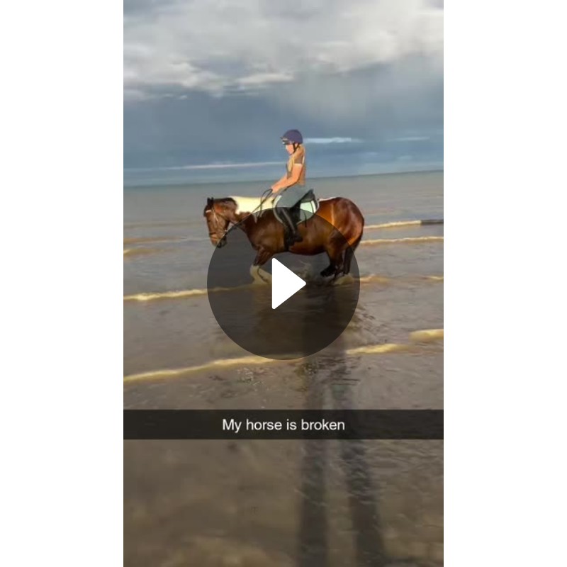 My horse is broken | Spotlight on Snapchat
