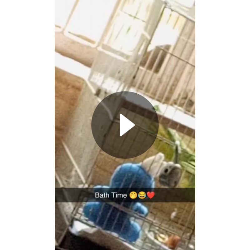 Bath Time 🤭😂 | Spotlight on Snapchat