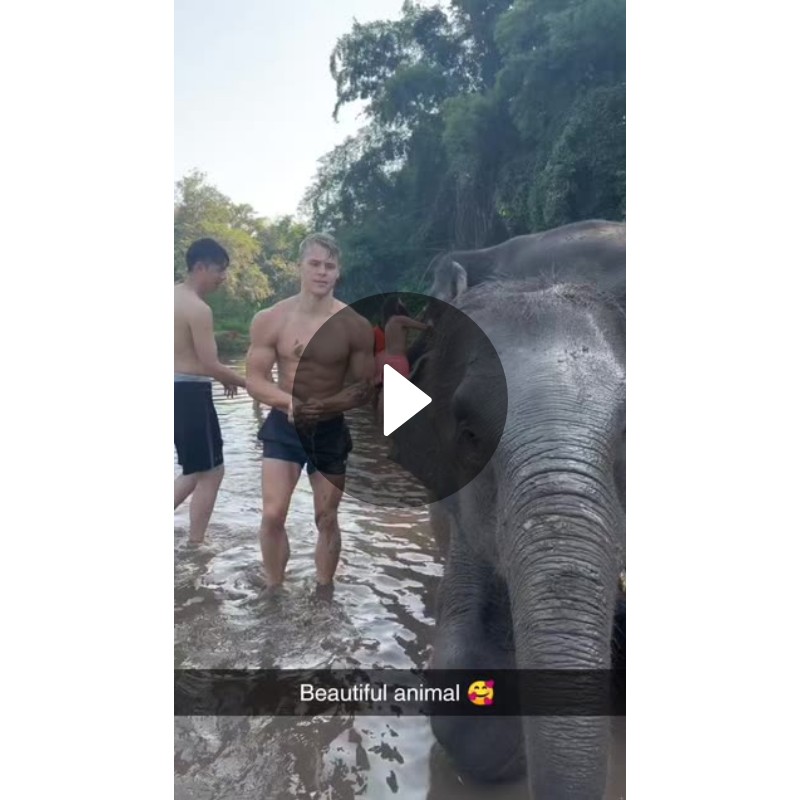 Beautiful animal 🥰 | Spotlight on Snapchat