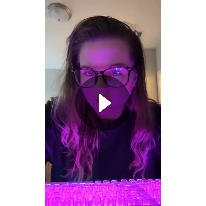 thehayboosnap | Spotlight on Snapchat