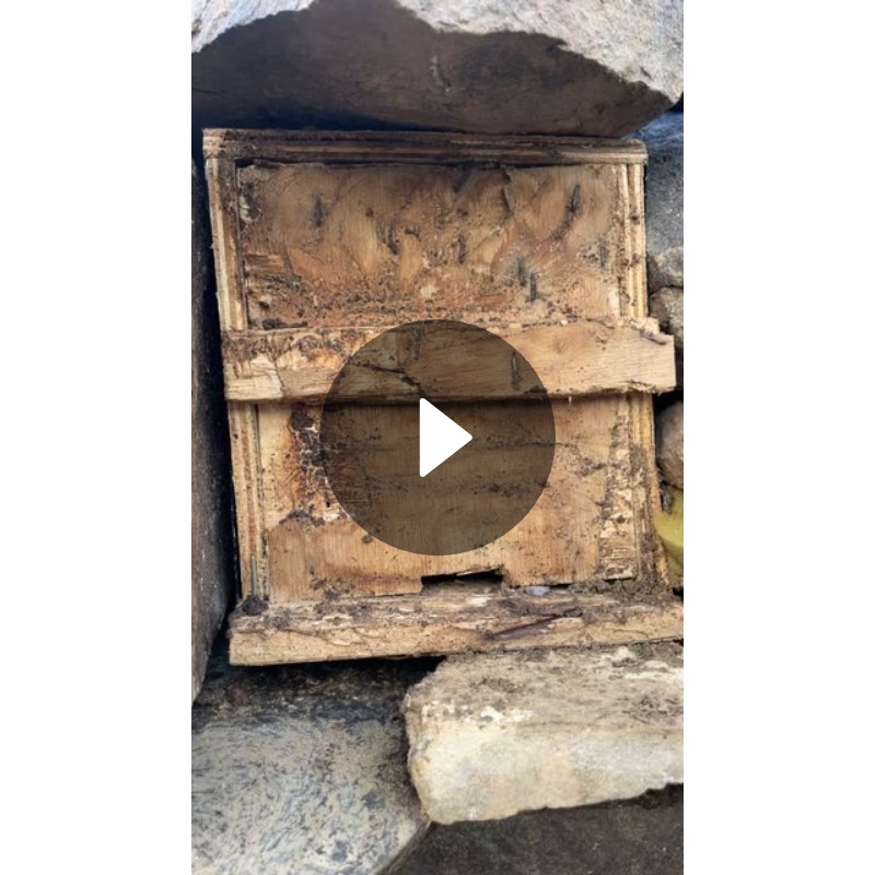 sauod_60 | Spotlight on Snapchat