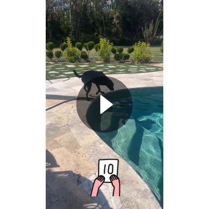 abs_olute | Spotlight on Snapchat