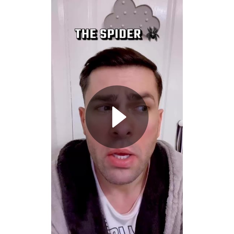THE SPIDER 🕷️ | Spotlight on Snapchat