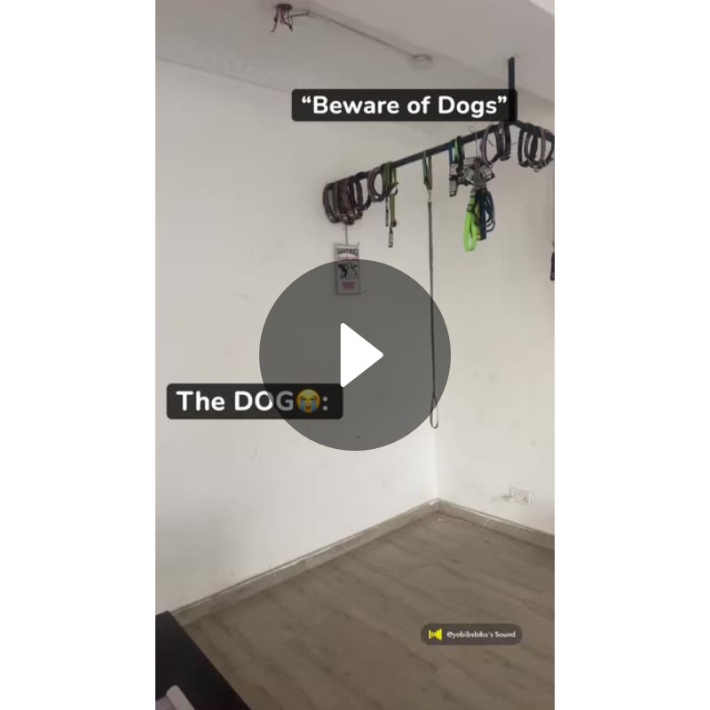 “Beware of Dogs” | The DOG😭: | Spotlight on Snapchat