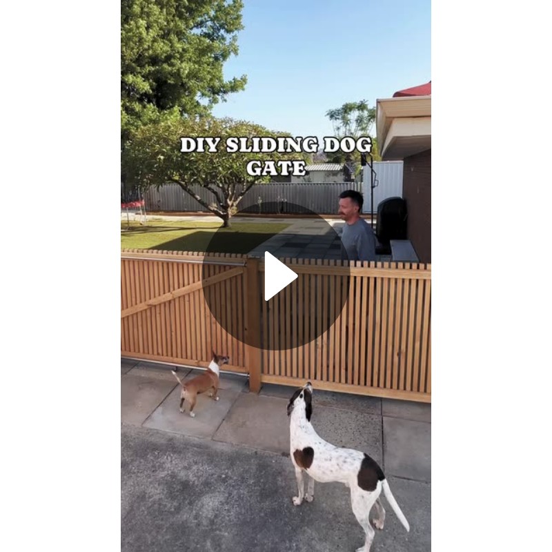 reno_dad | Spotlight on Snapchat