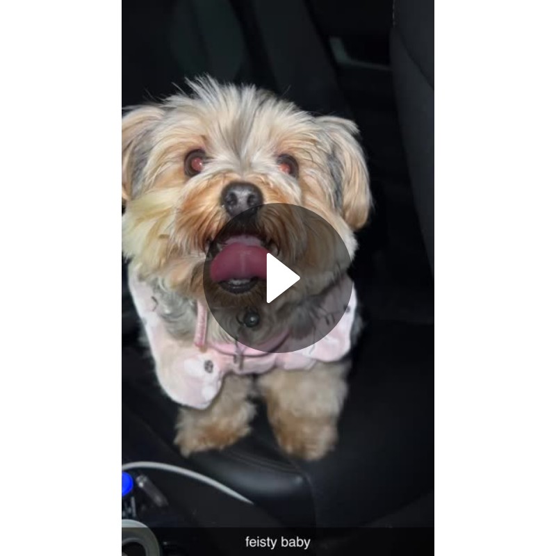 feisty baby | Spotlight on Snapchat