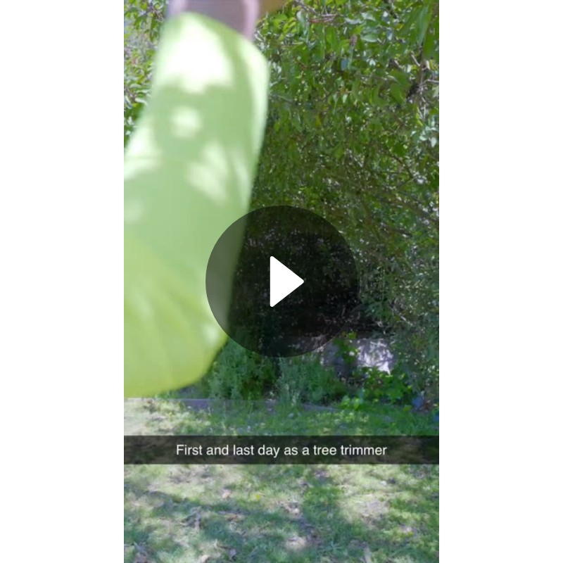 First and last day as a tree trimmer | Spotlight on Snapchat